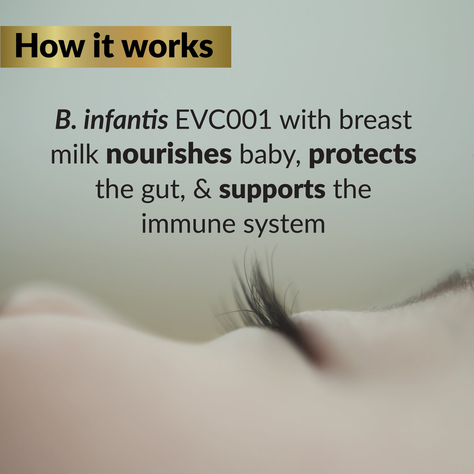 Infant Probiotic Powder | Bifidobacterium Infantis Powder – Evivo